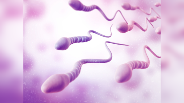 Can precum impregnate you? Know all about it here