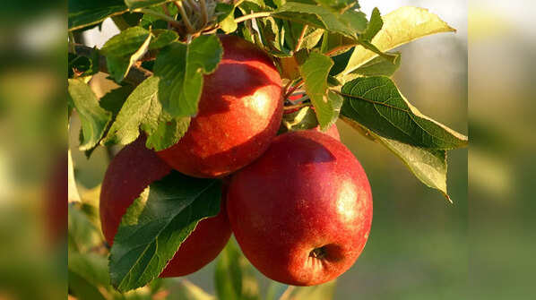 8 foods with highest level of pesticides