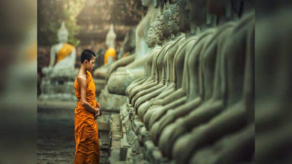 The three evils, according to Buddhism