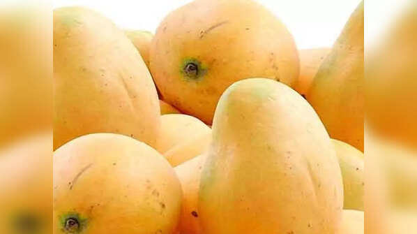 Types of Mangoes in India: 15 famous mango varieties in India and how ...