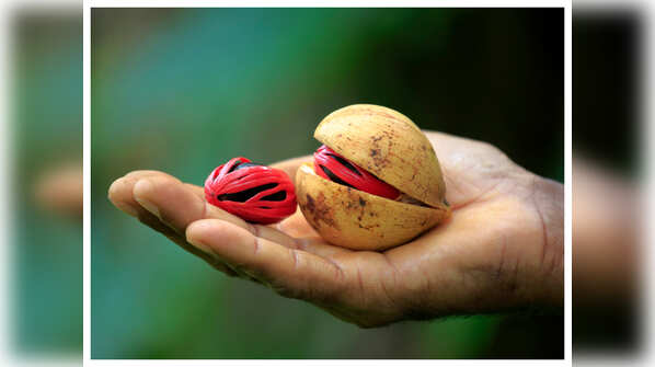 Nutmeg Benefits: Why women must have a pinch of nutmeg daily
