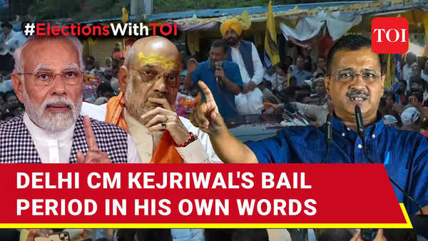 Government lifts ban on onion exports before crucial poll phases in Maharashtra | India News ...