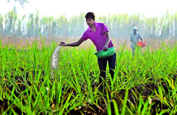 Hyderabad News: Latest Hyderabad News Headlines & Live News Updates ...