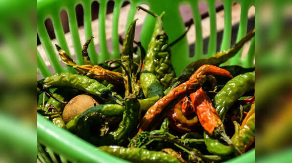 How to preserve Green Chillies and prevent them from drying