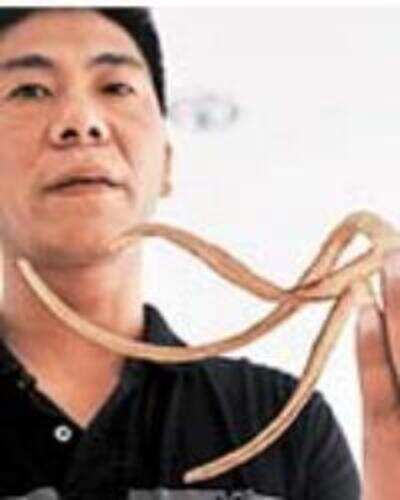 Bad-tempered man grows nails to stop getting into fights