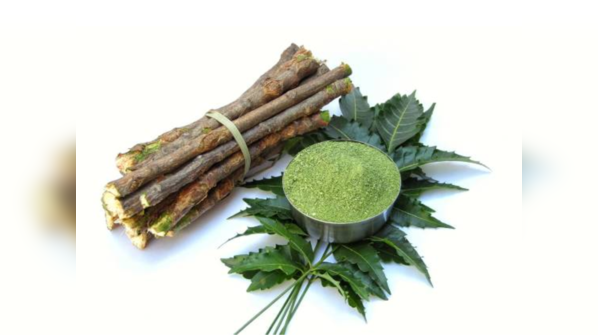 Neem Leaves: Traditional wisdom: How having neem leaves daily can keep ...