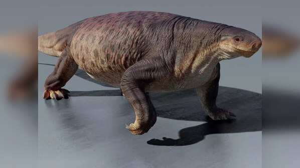 7 animals that lived before the dinosaurs