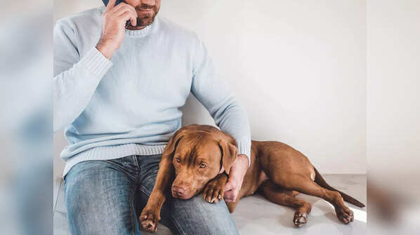 5 benefits of having a pet dog, as per science