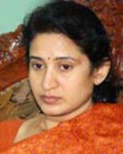 AP's factional politics reaches Karnataka HC