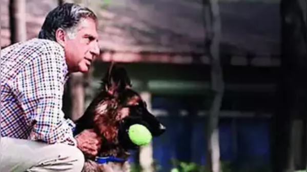 Paws and principles: Ratan Tata’s love for dogs in pics