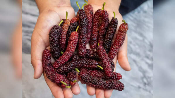 9 lesser-known summer fruits and their benefits
