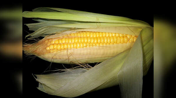 Myths about sweet corn you should trash NOW