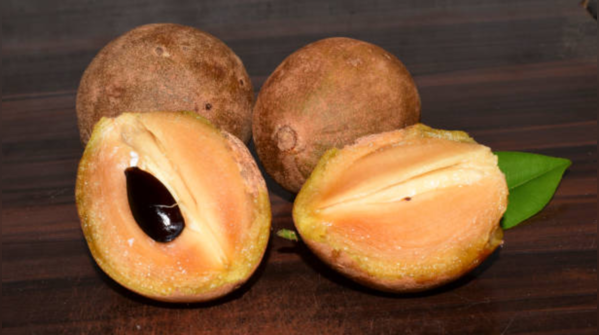 Chikoo health benefits to know: 10 reasons to add this fruit to daily diet