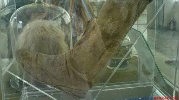 Frozen 'Saltmen': Jaw-dropping images of Iran's ancient mummies show ...