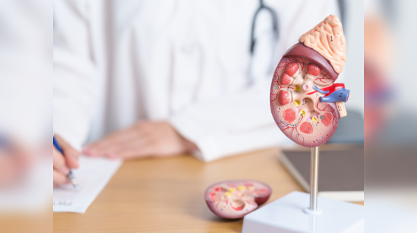 Kidney: Common habits which can impact its health