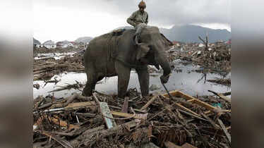 Deadliest Natural Disasters In History Rare December Tornado Outbreak