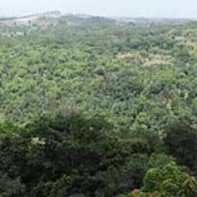Official singlehandedly reduced Bannerghatta forest by 74 acres