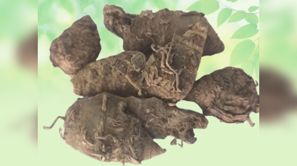 Black Turmeric Benefits: Black Turmeric with high curcumin: How it can ...