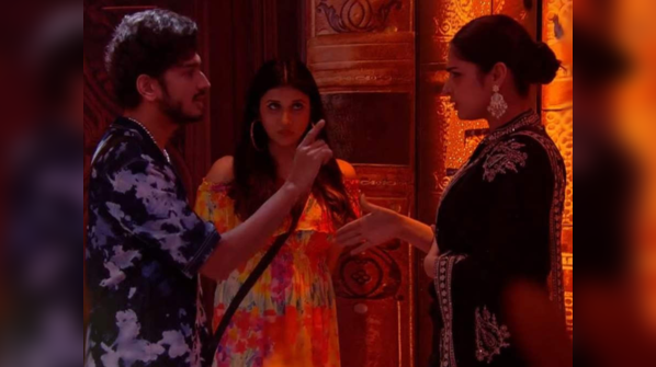 Ayesha Khan: From a controversial wildcard entry to bagging a film with ...