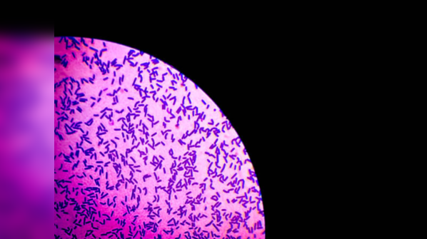 UK sees rise in 'extensively antibiotic-resistant' Shigella infection ...