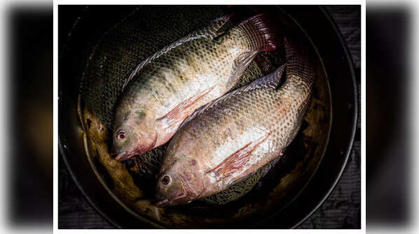 Is your restaurant secretly serving you Garbage fish?