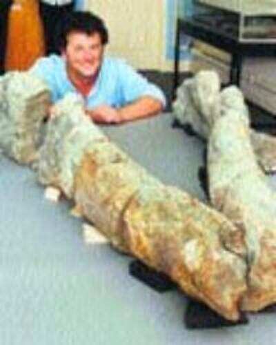Giant sea monster's skull unearthed