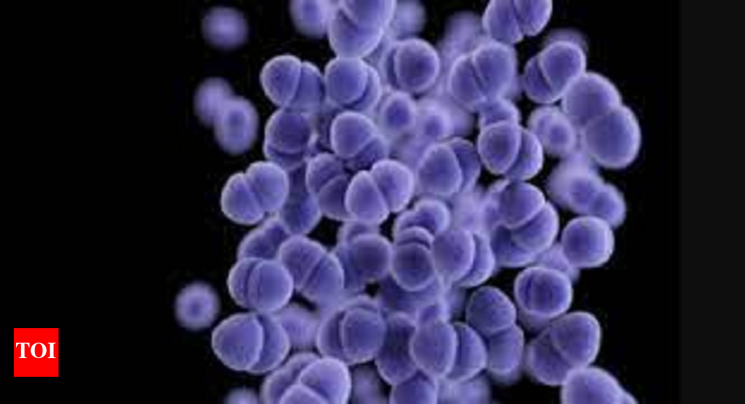 Ils Researchers Find New Bacteria | Bhubaneswar News - Times of India