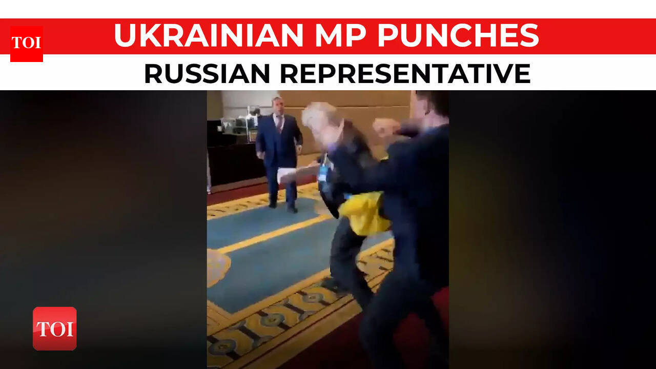Watch: Ukrainian MP punches Russian representative at international ...