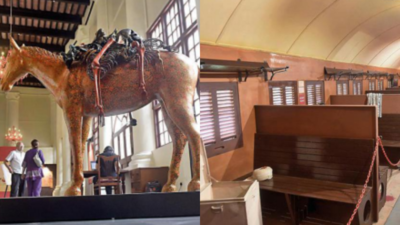 Museum in Delhi's Dara Shikoh library tries to capture pain of ...