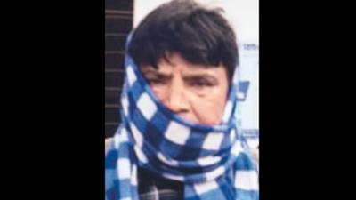 Sc Notice To Govt, Cong Mla’s Son In Rape Case | Jaipur News - Times of ...