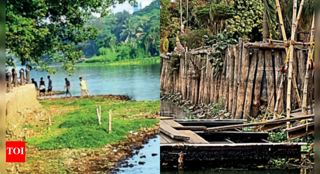 Lake: Lake Water Depletion Poses Threat To Biodiversity, Affects Rowers ...
