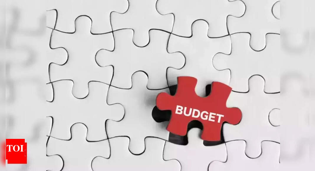 Students Turn Resource Persons In Sdg Budgeting | Kochi News - Times of ...