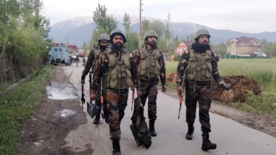 2 terrorists shot dead in Kashmir counteroffensive | India News - Times of India