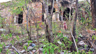 Delhi's 'haunted' walks begin with Malcha Mahal | Delhi News - Times of ...
