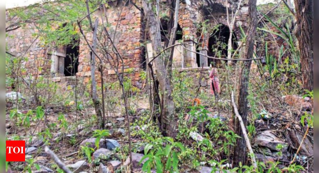 Delhi's 'haunted' walks begin with Malcha Mahal | Delhi News - Times of ...
