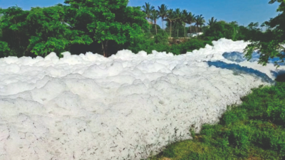 Krishnagiri: Toxic Froth Back In Thenpennai | Salem News - Times of India