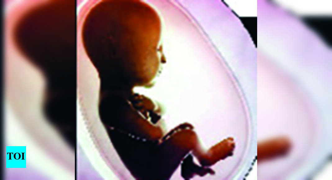 Berasia: 7-month-old Dead Foetus Found Dumped In Berasia | Bhopal News ...