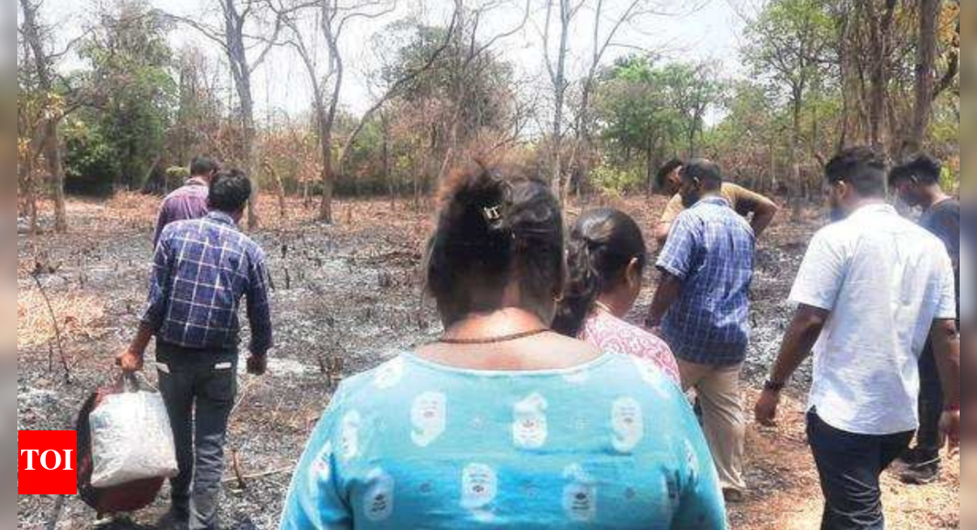 Vast green area in Mandur gutted, activists cry foul | Goa News - Times ...