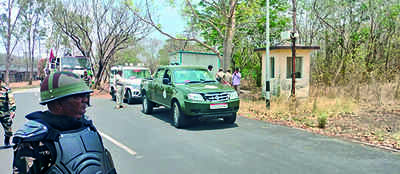 4-5 Big Cats Likely In Indore Jungle, Says Forest Official | Indore ...