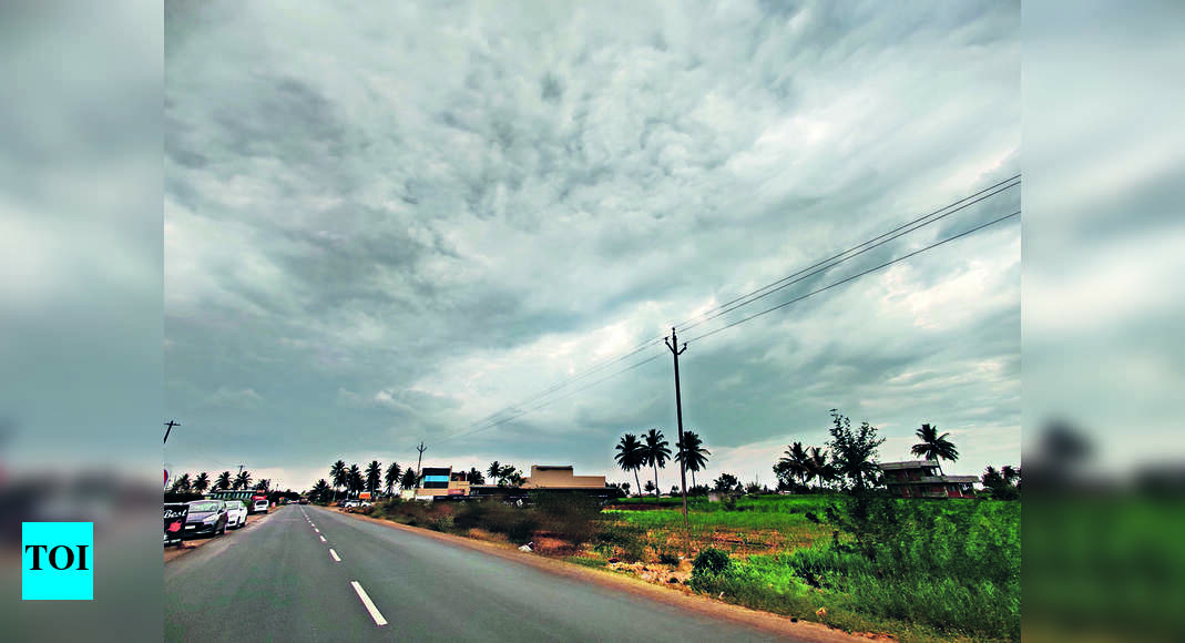 Kolhapur: Rain Damages Crops In Kolhapur District; Yellow Alert ...