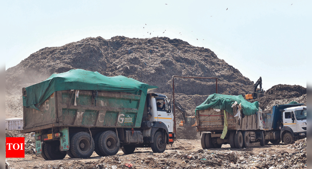 Mcg: Mixed Waste Dumping? Mcg Teams Will Keep Watch At Collection Pts ...