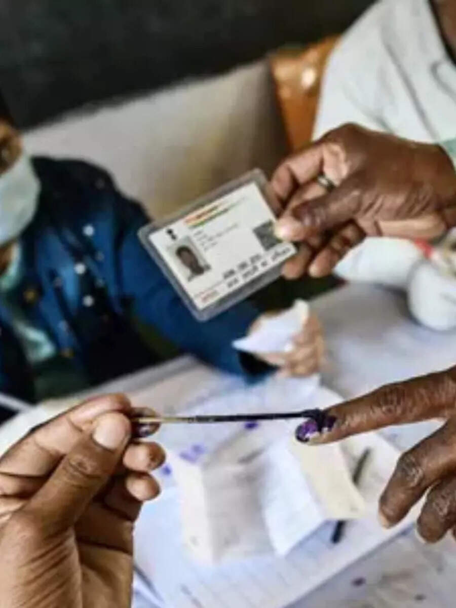 NO VOTER ID? WORRY NOT, THESE DOCUMENTS ARE VALID AT POLLING BOOTHS ...