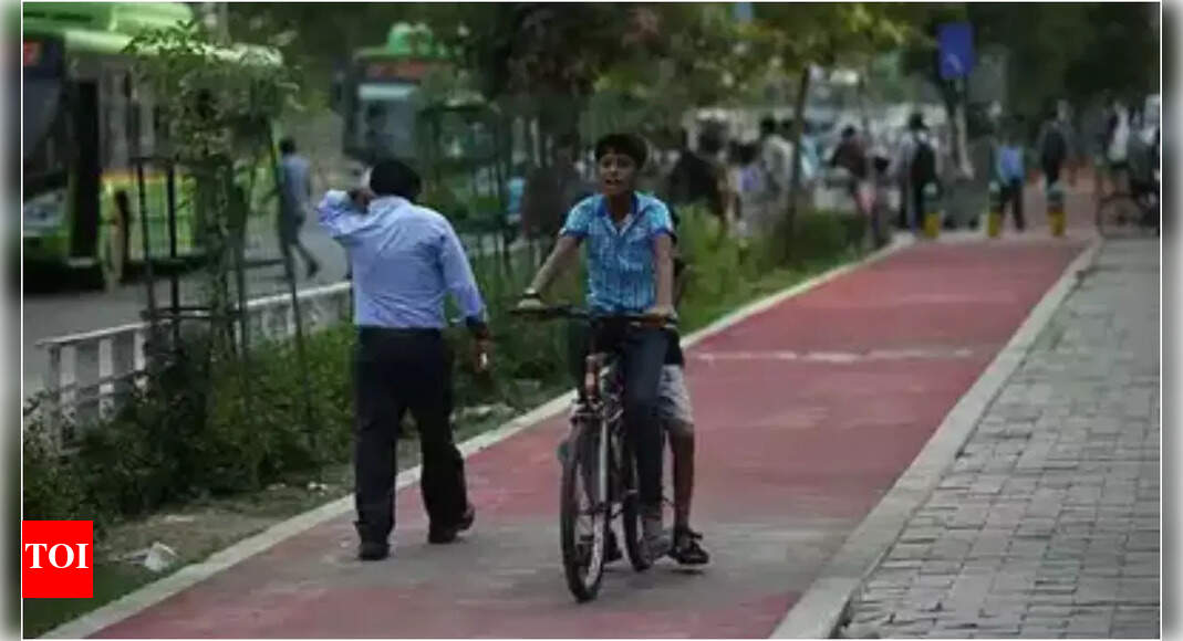 Punjab: Punjab now 1st state to enforce ‘right to walk’ | India News ...