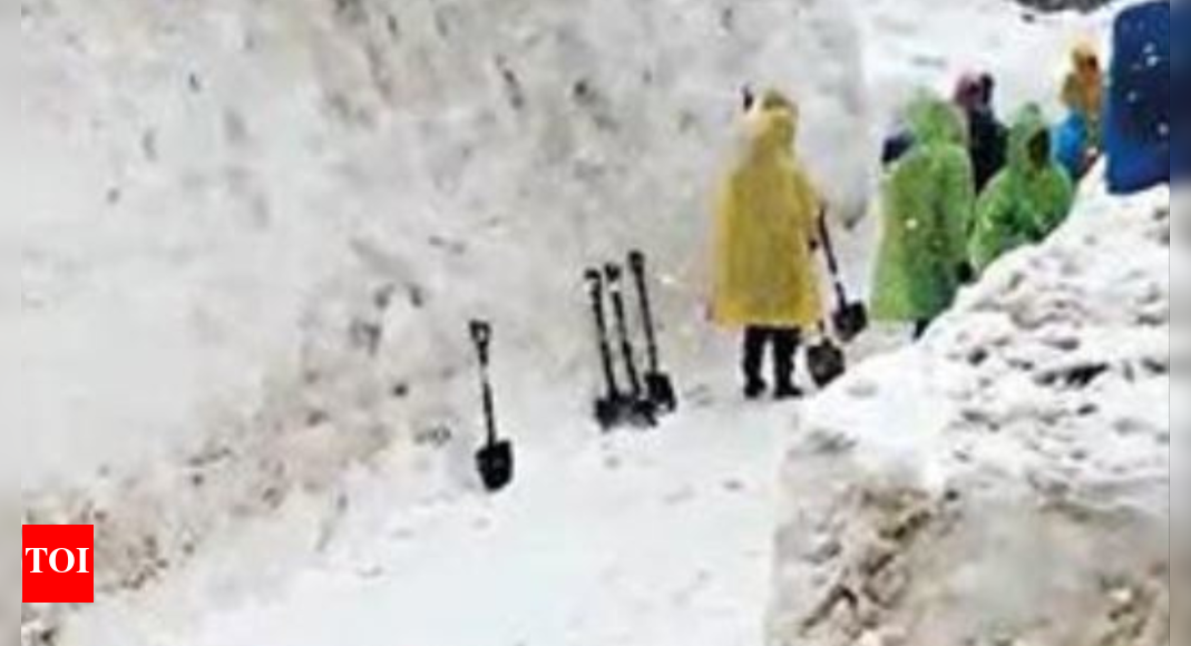 Snowfall at Badri, Gangotri shrines; Dehradun sees hail | Dehradun News ...