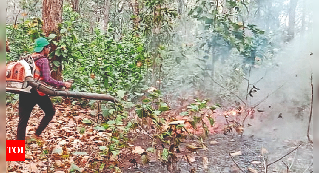 ‘involve Local Communities To Control Forest Fires In State ...