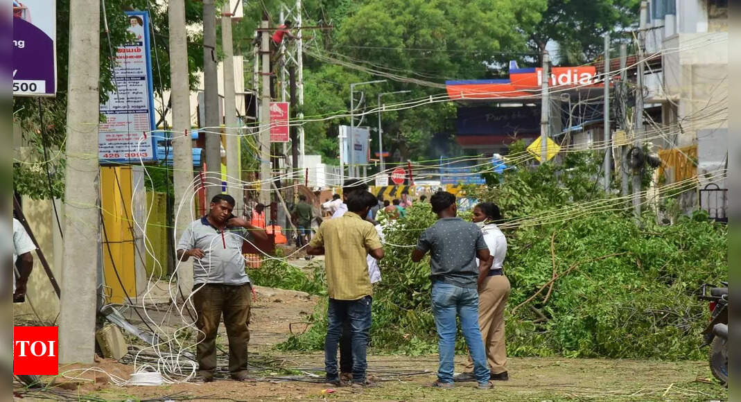 Heavy winds and rain uproot several trees in Madurai, affect power ...