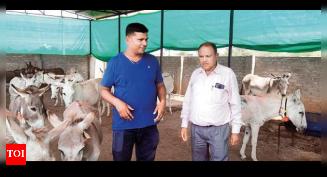 No Jackass Idea But Lucrative Biz: Maha’s 1st Jenny Farm In City Sells ...