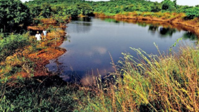 Hunting for an ideal getaway spot close to Chennai? Try Nanmangalam ...