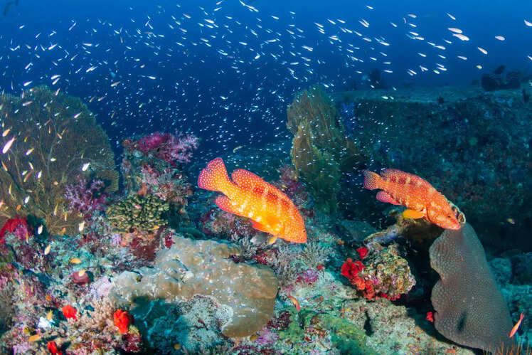 These fishing trips in India are the perfect weekend recipe | Times of ...