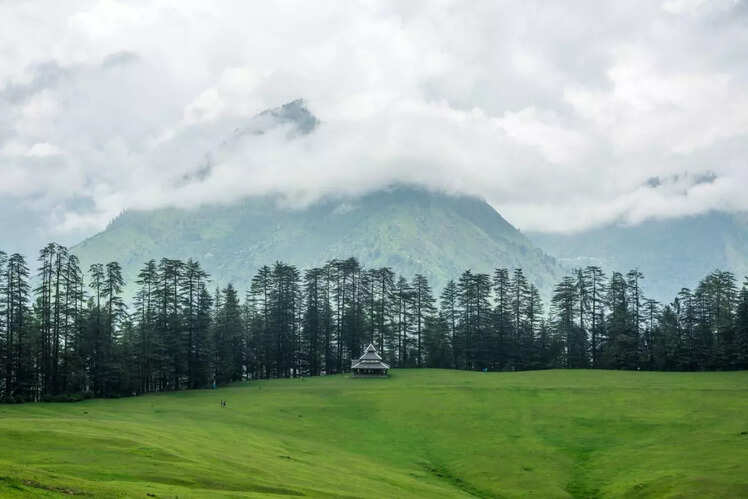 Where to stay in India’s Great Himalayan National Park? | Times of ...